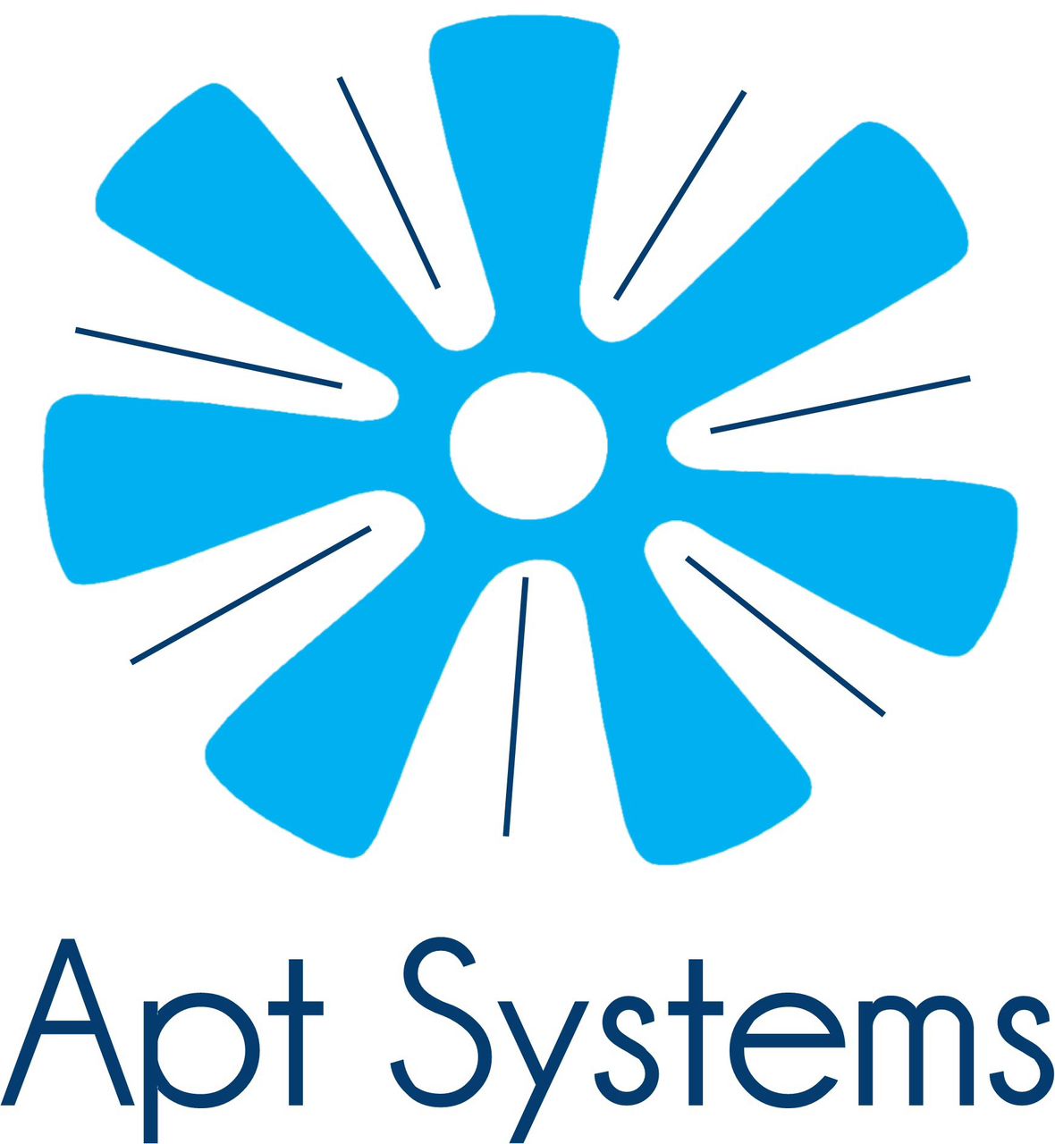 APT Systems LLC